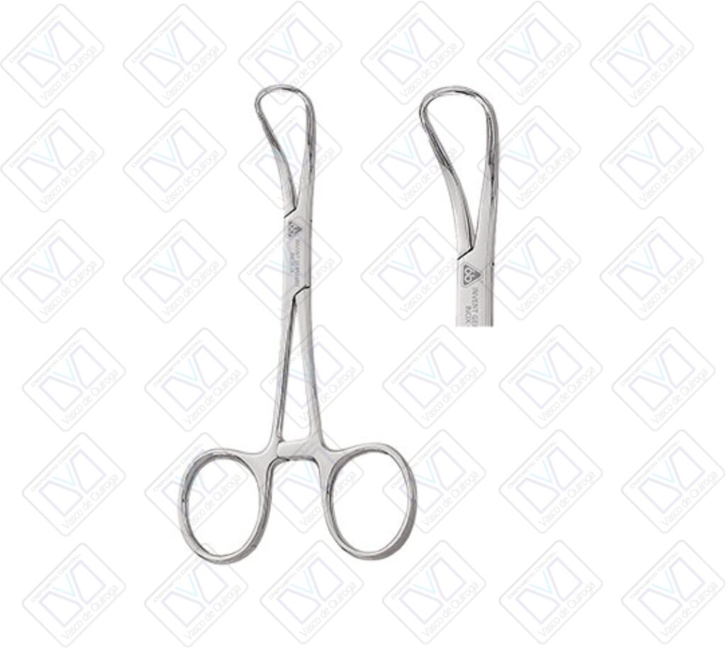 Pinza De Campo Backhaus 6B - Depósito Dental VQ